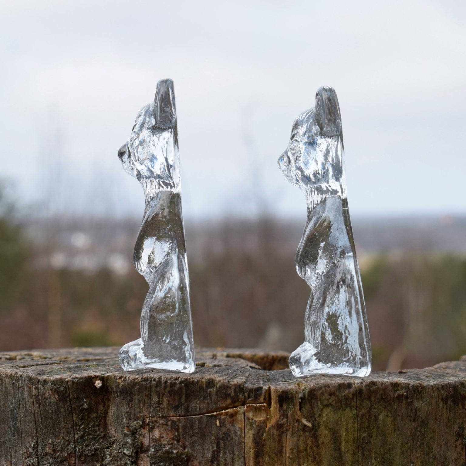 ガラスのくま・佇む熊 / クリスタルガラス・Eda Kristall / くまグッズ | florantik