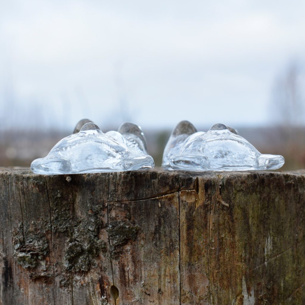 ガラスのくま・佇む熊 / クリスタルガラス・Eda Kristall / くまグッズ | florantik